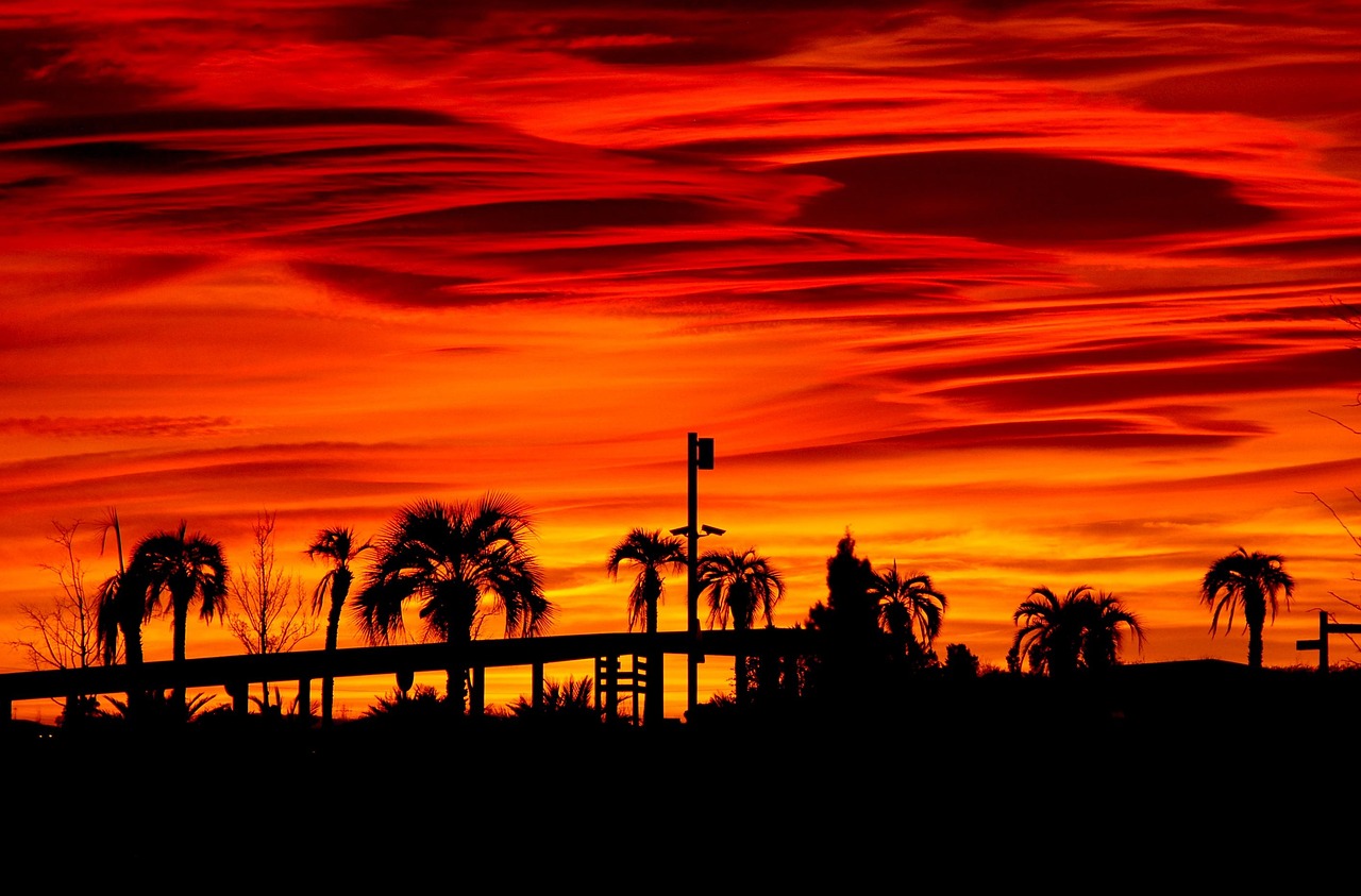 Landscape Palms Fire - Free photo on Pixabay - Pixabay