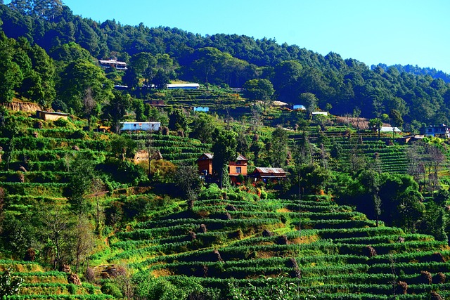 Village Greenery Landscape - Free photo on Pixabay