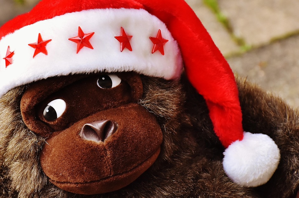 Christmas Santa Hat Stuffed Animal - Free photo on Pixabay