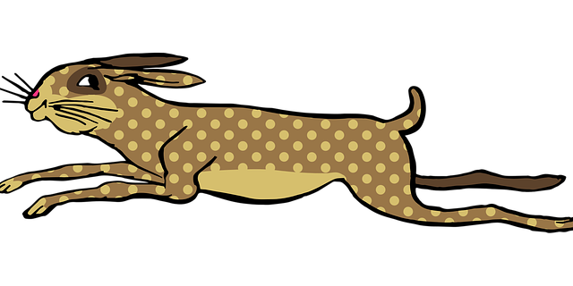 30,000+ Free Hare Cartoon & Cartoon Images - Pixabay