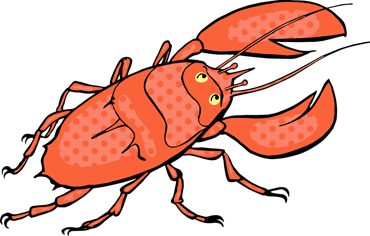 Free Garras Vector Art - Download 166+ Garras Icons & Graphics - Pixabay
