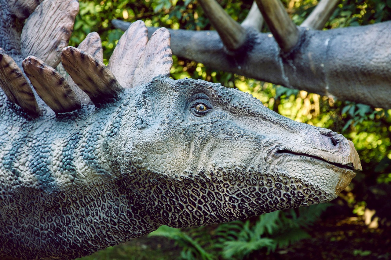 80+ Free Stegosaurus & Dinosaur Images - Pixabay