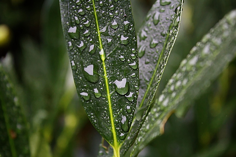 Water Regen Afzetten - Gratis foto op Pixabay