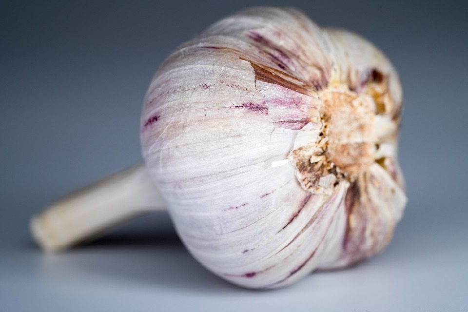 Ajo Comida Especias - Foto gratis en Pixabay