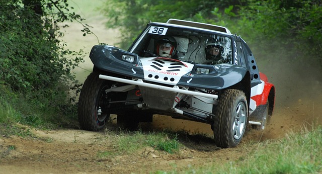 Rally Armagnac Race Car - Free photo on Pixabay - Pixabay