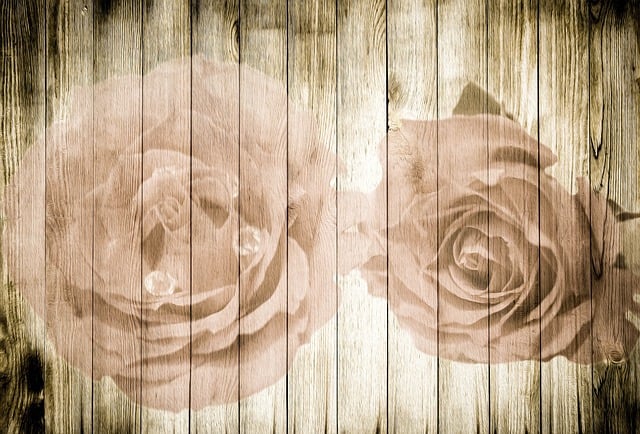 Roses On Wood - Free image on Pixabay