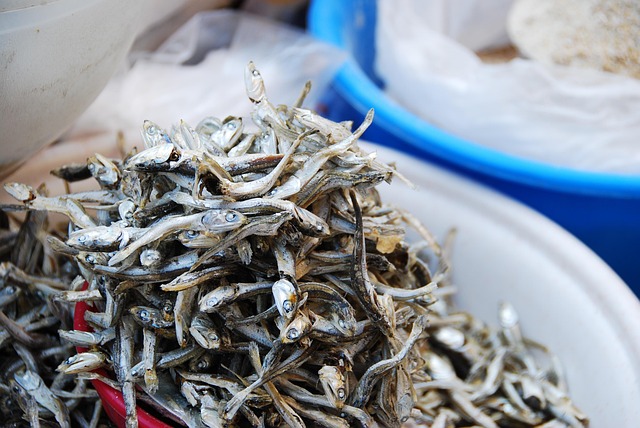 Anchovy Market Basket - Free photo on Pixabay - Pixabay