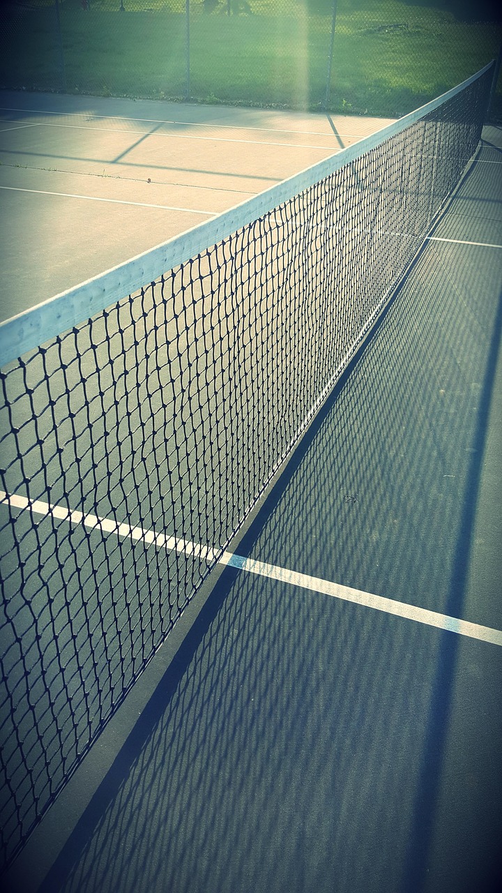 Tennis Net Graphic