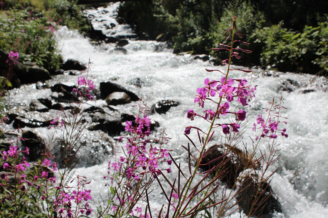 60+ Free Ötztal & Mountains Images - Pixabay