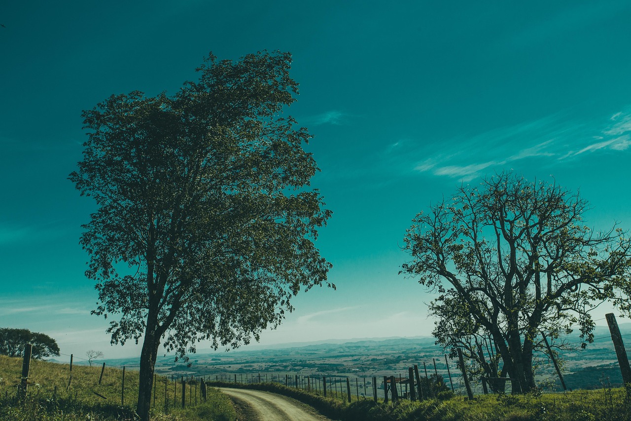 La Campagne Chemin De Terre Gazon - Photo gratuite sur Pixabay - Pixabay