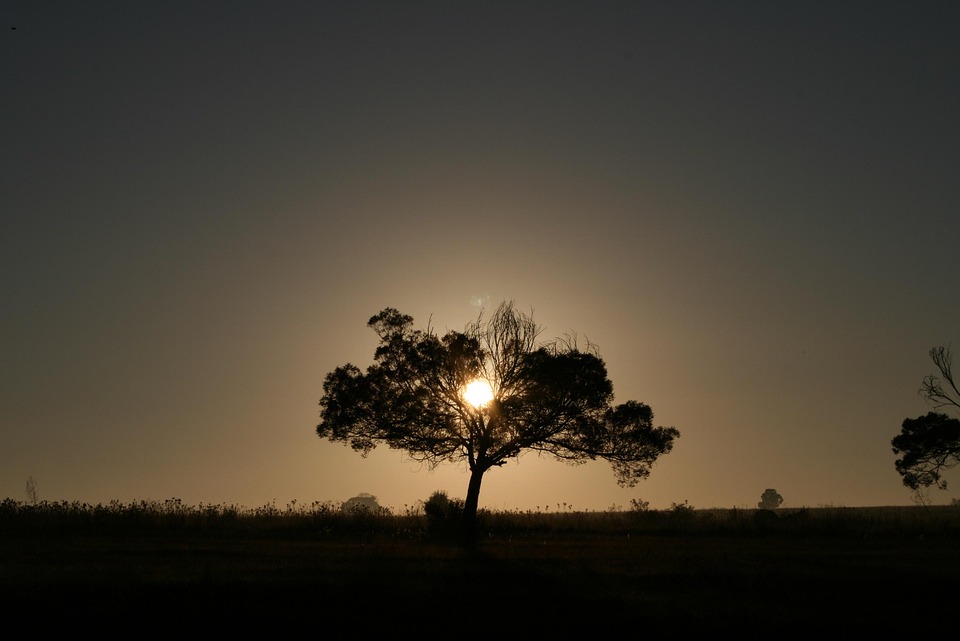 Morning Sun Sky Sunrise - Free photo on Pixabay