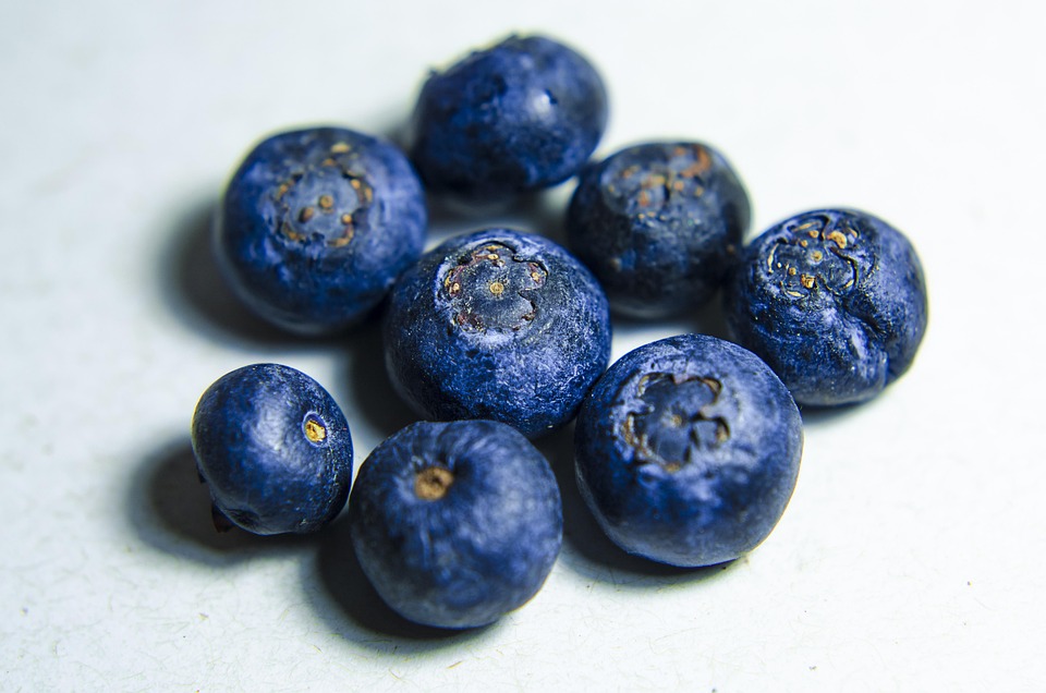 Blueberries Blueberry Fruit Blue - Free photo on Pixabay