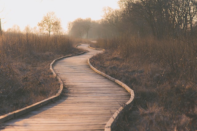 20 000 Free Wavy Path Path Images Pixabay 20 000 Free Wavy Path Path Images Pixabay