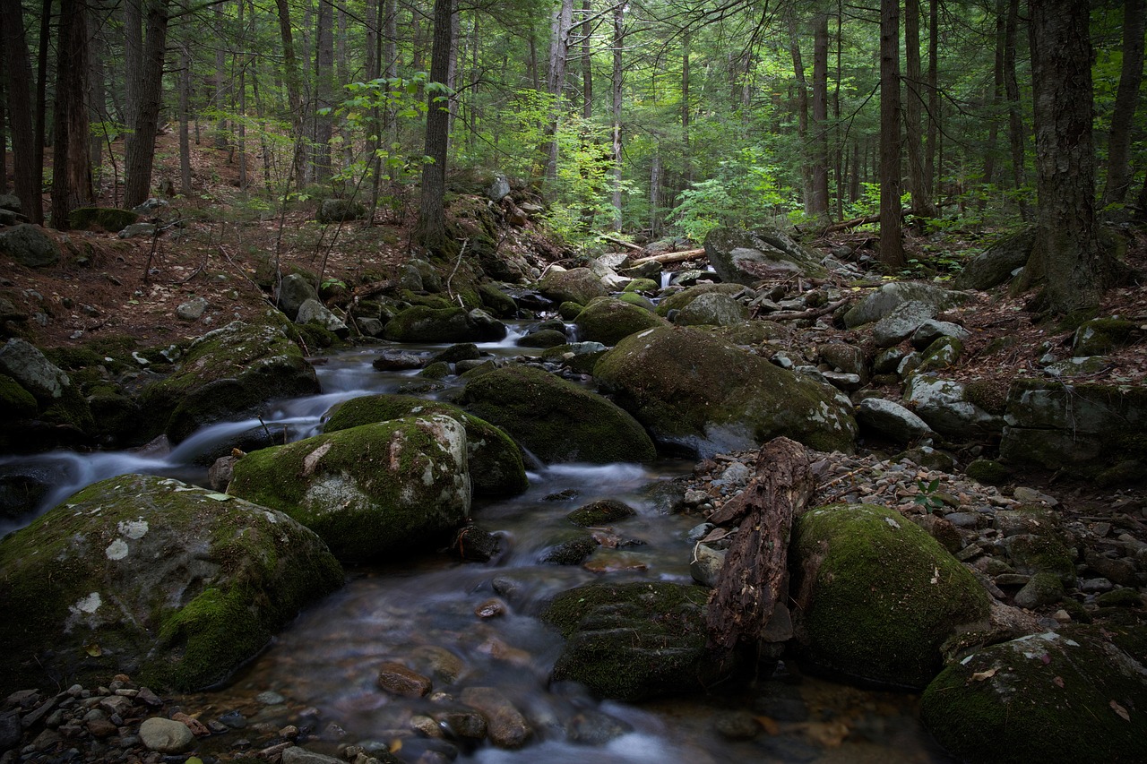超过 10000 张关于“Stream Hiking”和“自然”的免费图片 - Pixabay