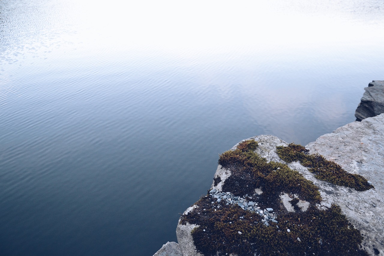 10,000+ Free Calm & Nature Photos - Pixabay