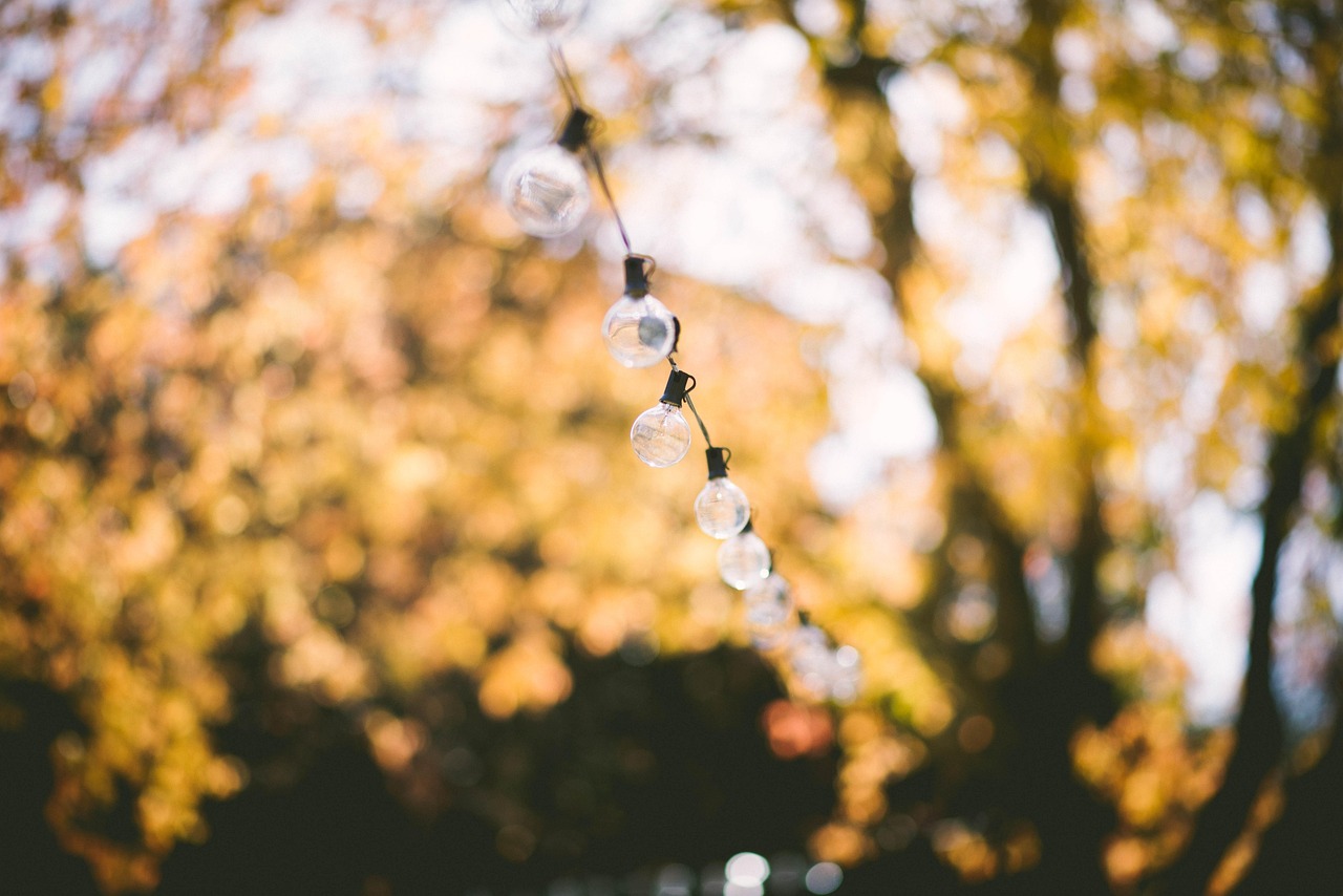 100,000+ Free String Lights & Light Images - Pixabay