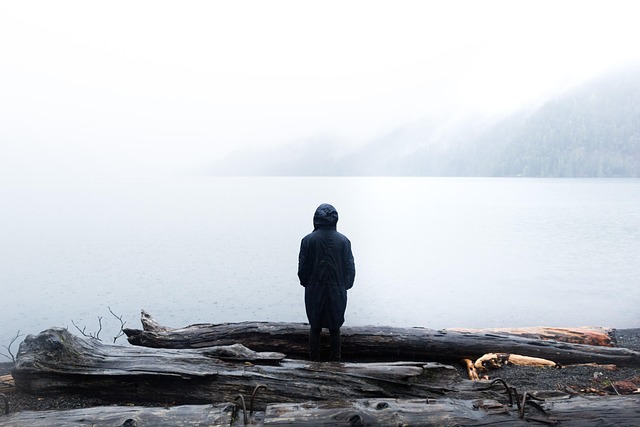 300+ Free Solo & Nature Images - Pixabay
