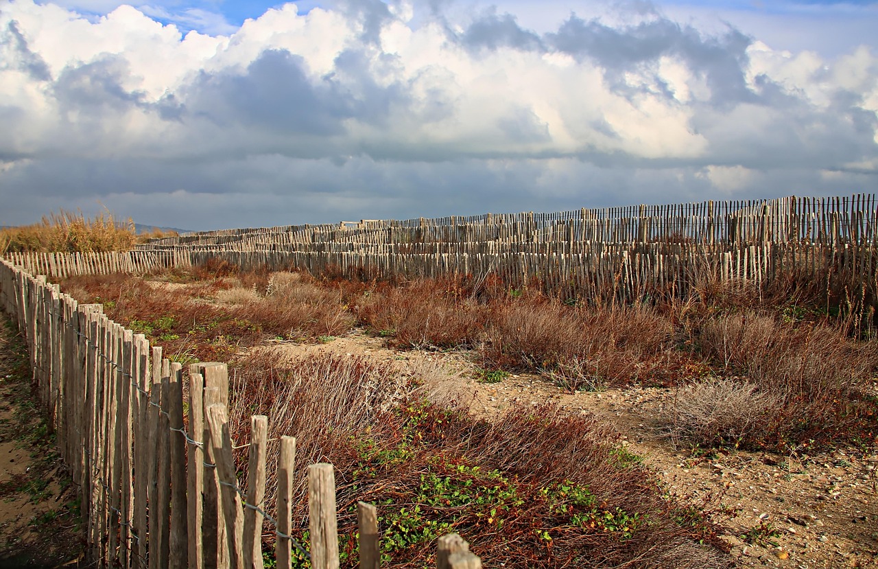 Más de 400 imágenes gratis de Matorral y Naturaleza - Pixabay