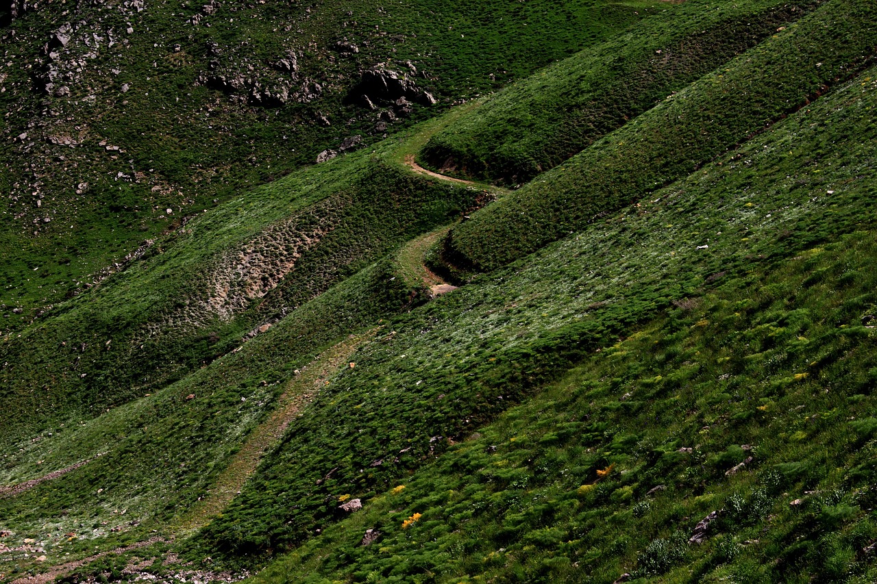 La Nature Vue Vert - Photo gratuite sur Pixabay - Pixabay