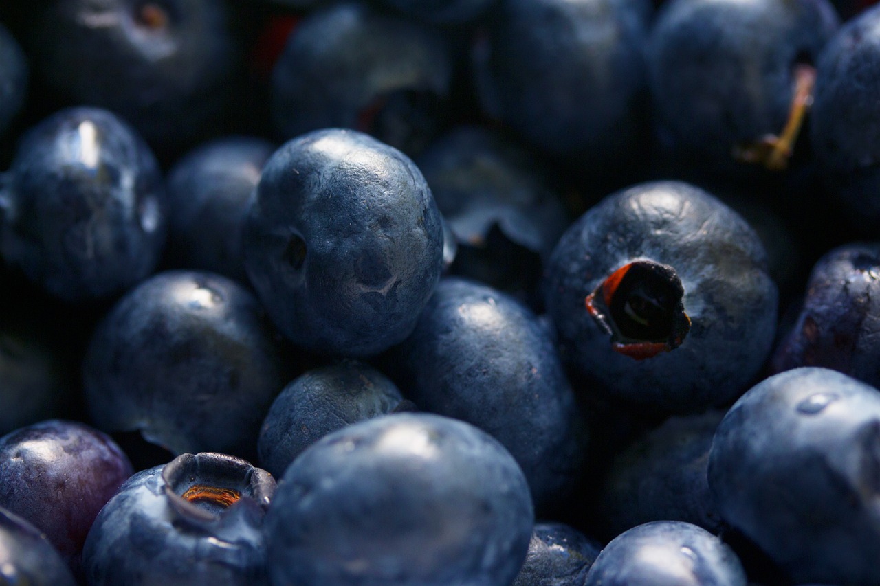 300+ Free Antioxidants & Food Images - Pixabay