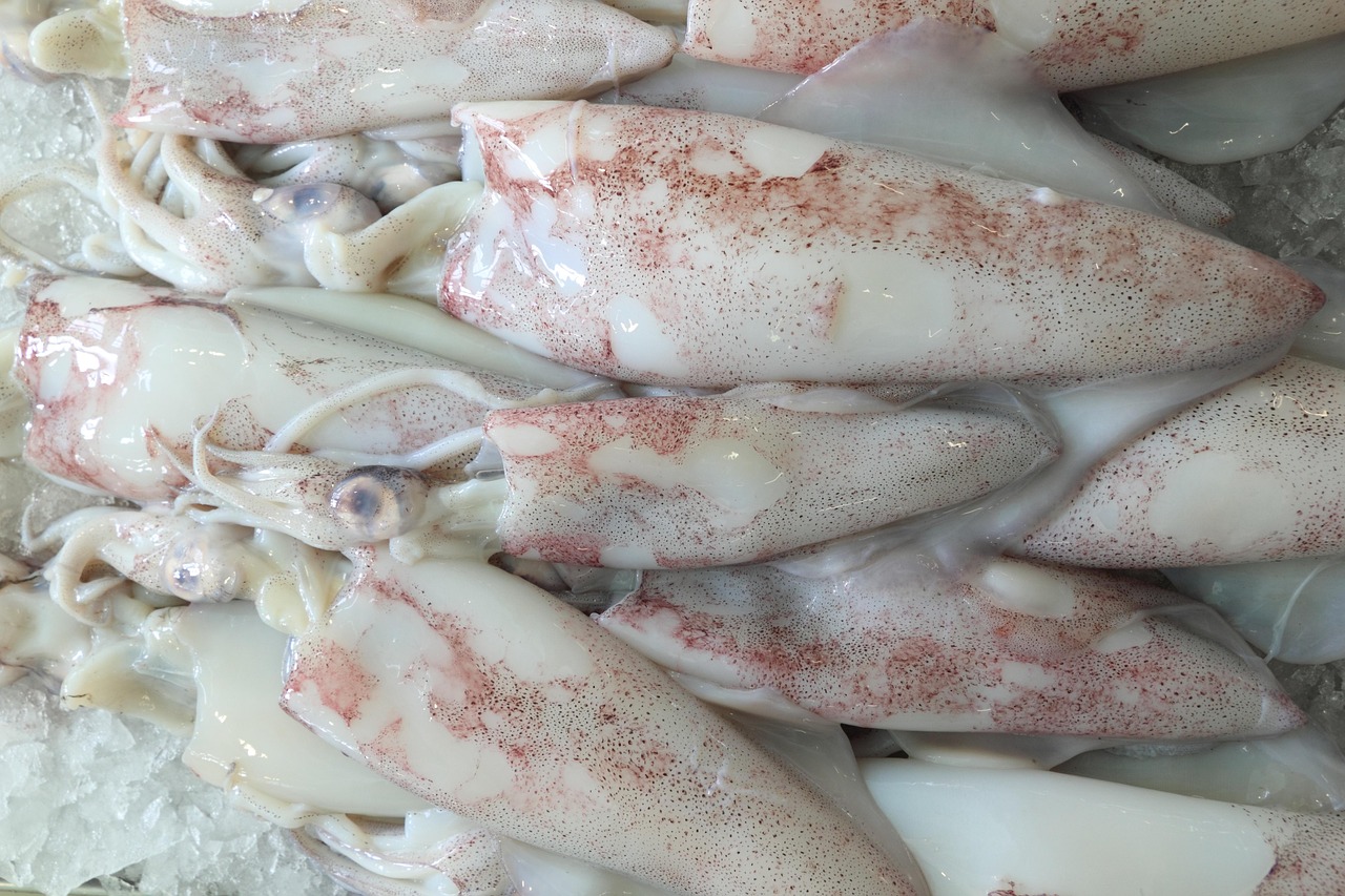 Portugal Lisbon Fish - Free photo on Pixabay - Pixabay