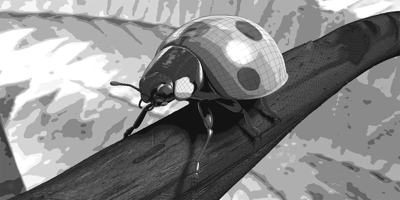 600+ kostenlose Detailed Bug und Bug-Bilder - Pixabay