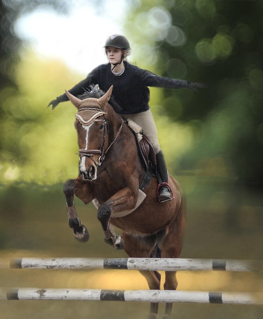 Horse Horses Flight - Free photo on Pixabay