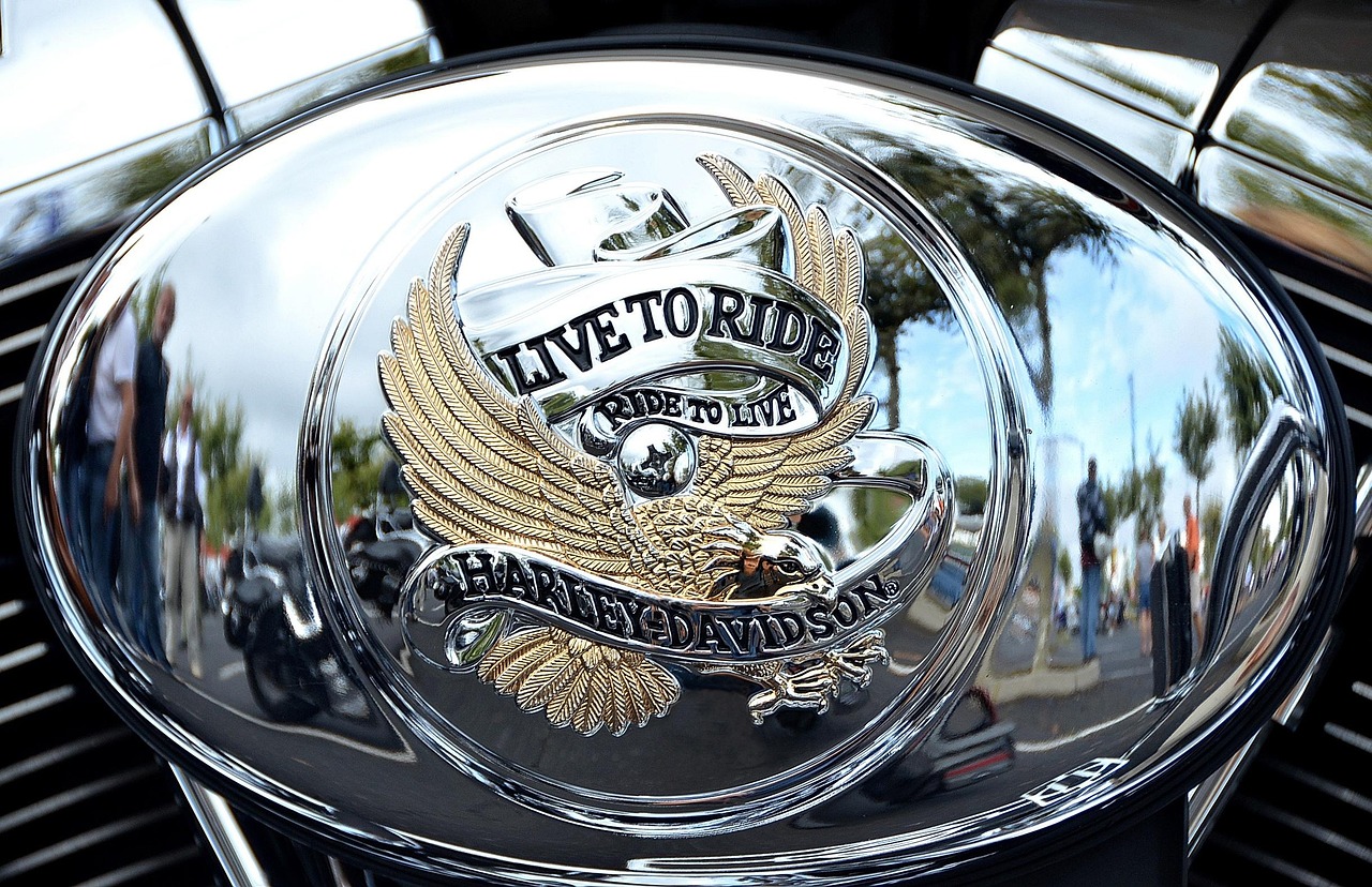 10,000+ Free Harley Davidson Logo & Harley Davidson Images - Pixabay