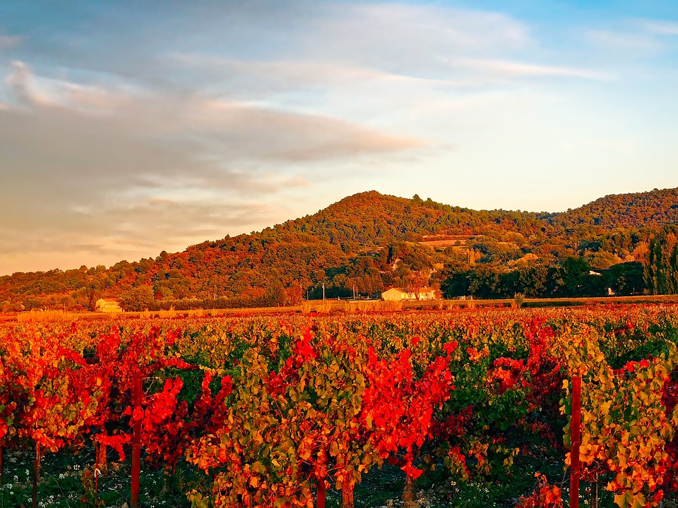 France Vineyard Mountains - Free photo on Pixabay