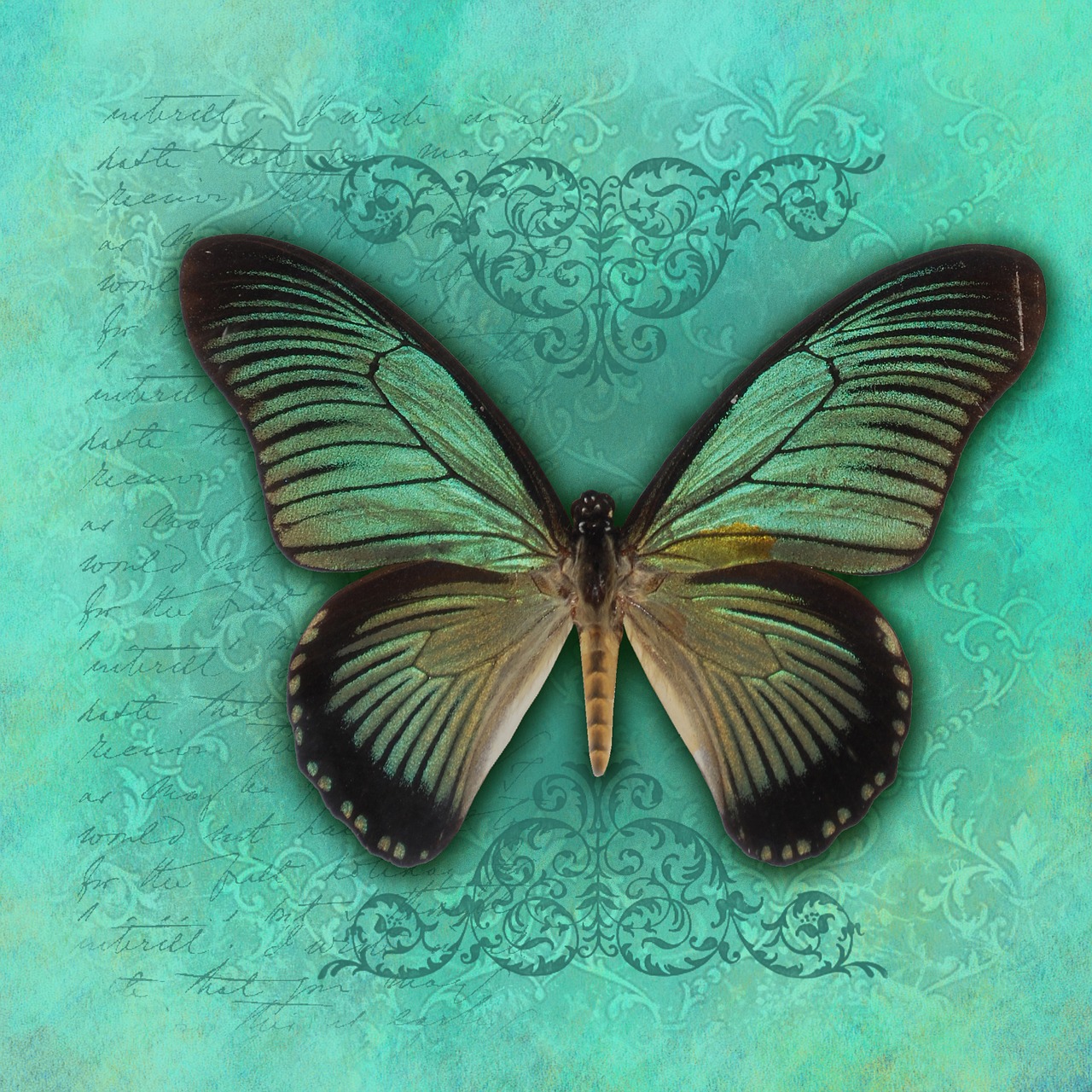 Fondo Vintage Viejo Imagen Gratis En Pixabay Pixabay