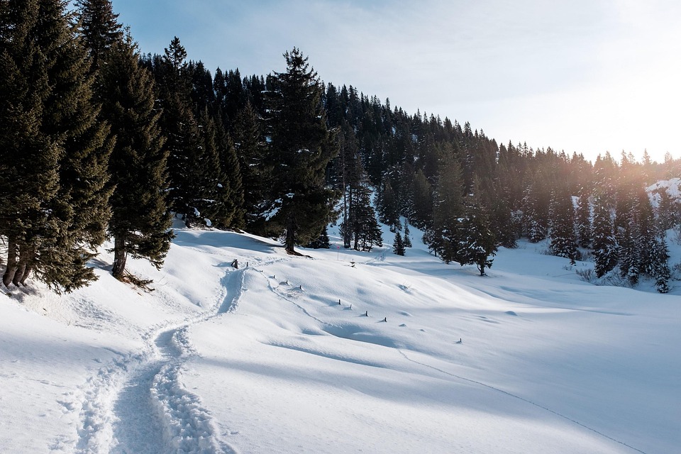 Cold Hill Landscape - Free photo on Pixabay