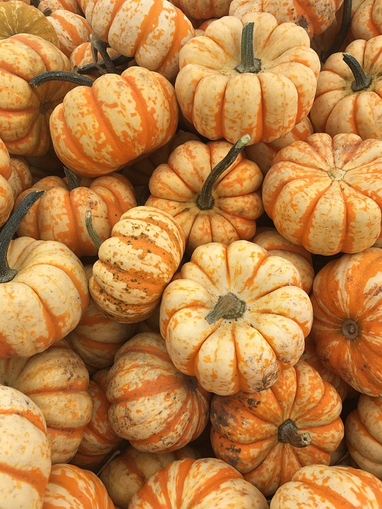 Fall Orange Pumpkin - Free photo on Pixabay