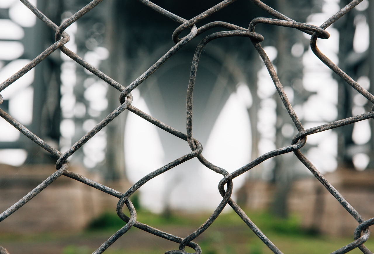 Barbed Wire Barrier Blur - Free photo on Pixabay - Pixabay