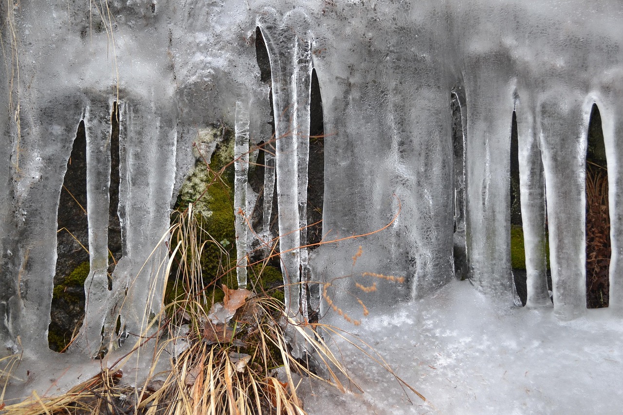 Ice Cold Snow - Free photo on Pixabay