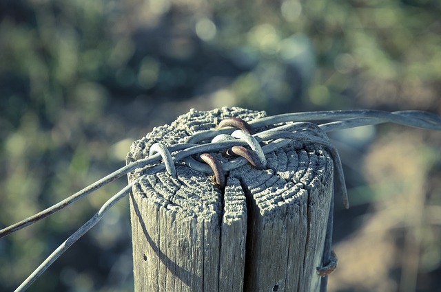 Wire Post Fence - Free photo on Pixabay