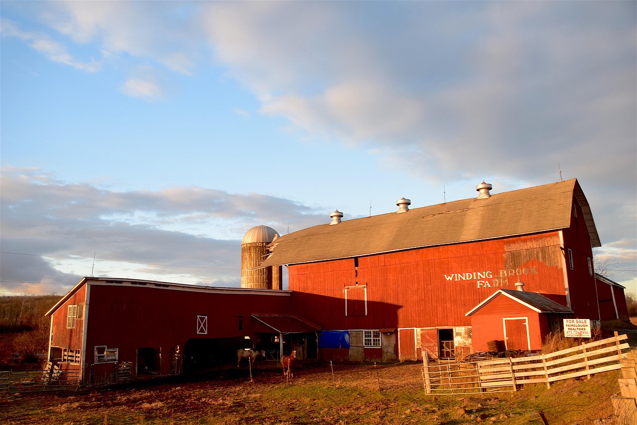 Bran Rural Farm - Free photo on Pixabay - Pixabay