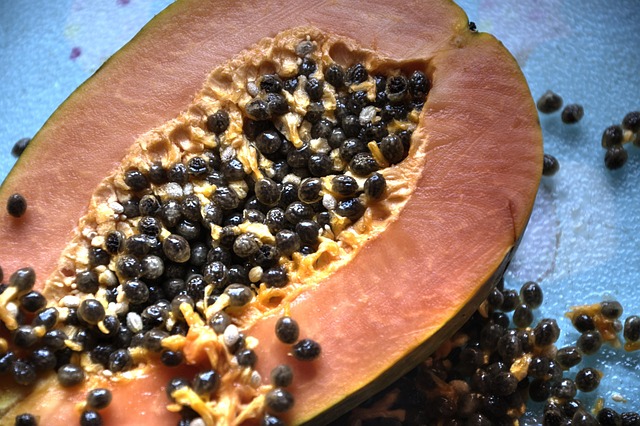 Paw Fruit Healthy - Free photo on Pixabay