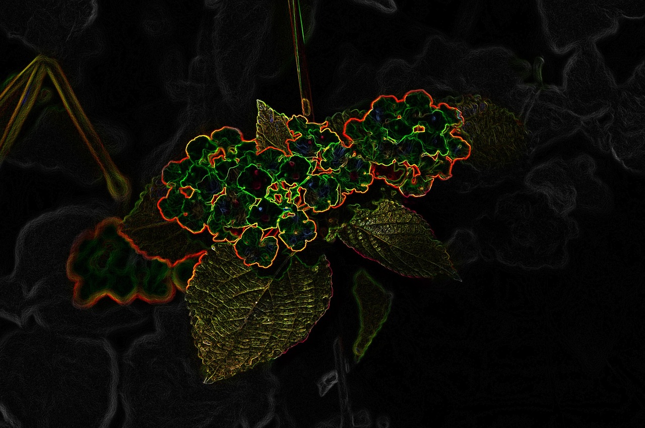 80+ Free Neon Flower & Neon Images - Pixabay