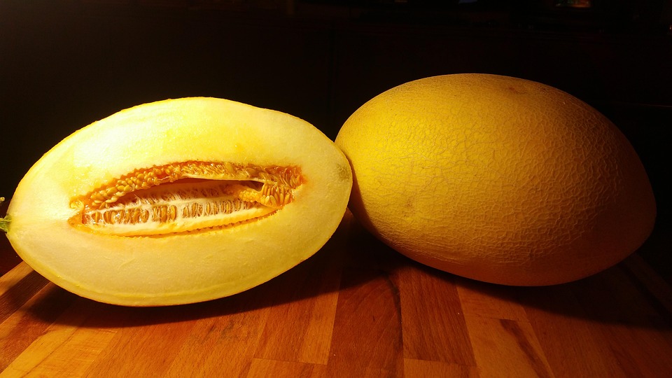 Melon Frais Fruit - Photo gratuite sur Pixabay - Pixabay