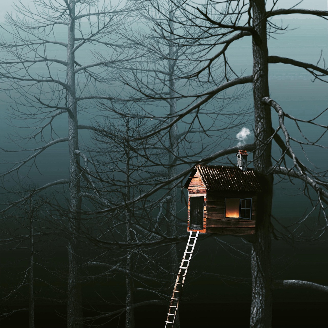 Treehouse Forest Nature - Free photo on Pixabay - Pixabay