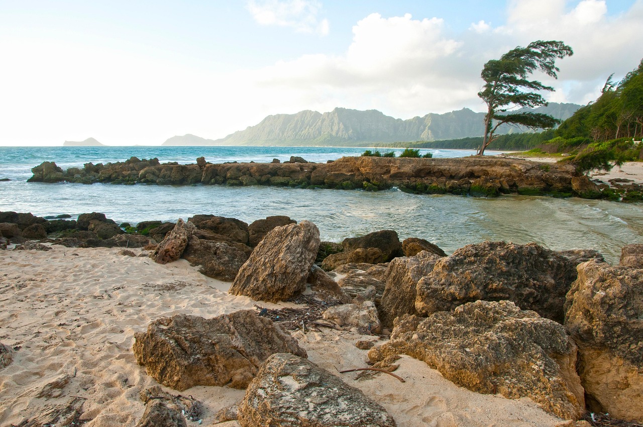 Hawaii Beach Oahu - Free photo on Pixabay - Pixabay