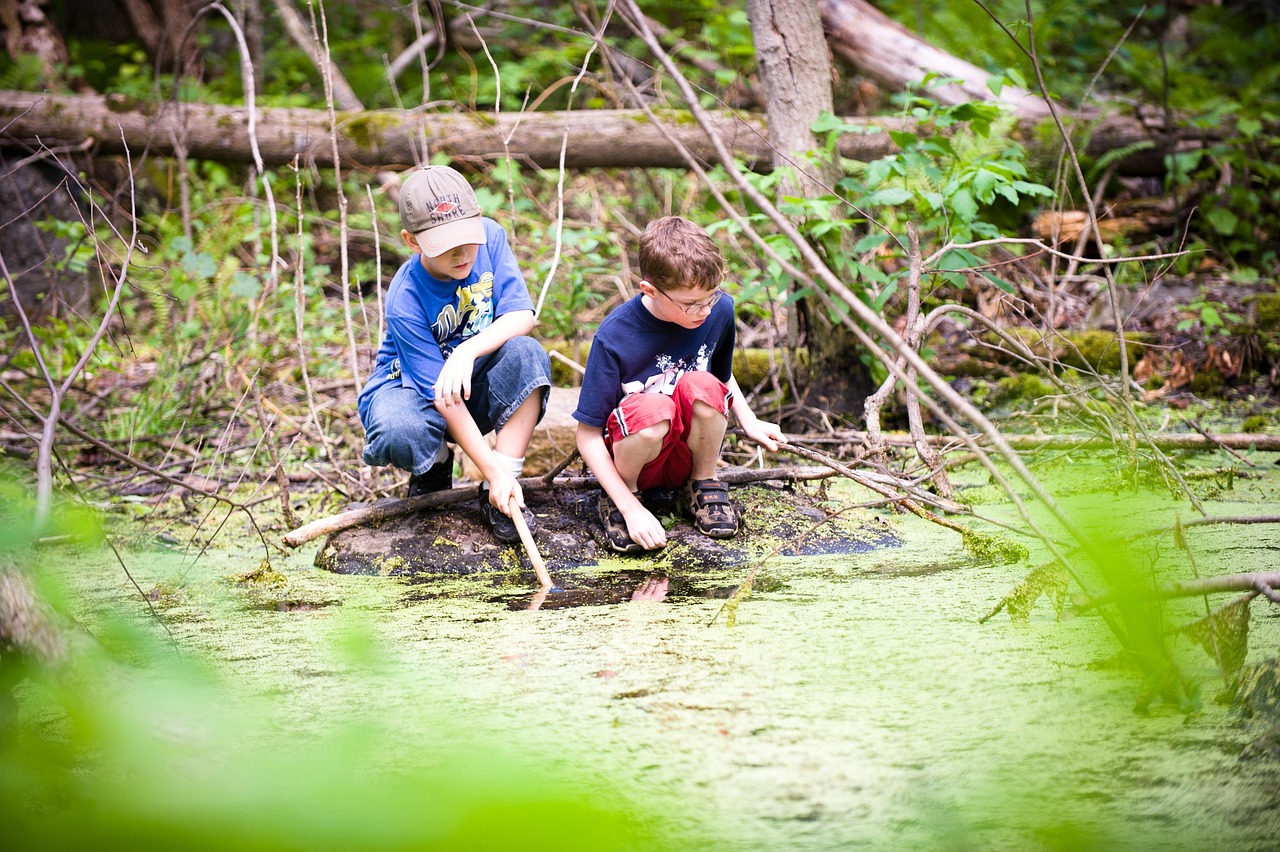 Water Stewardship Nature - Free photo on Pixabay - Pixabay