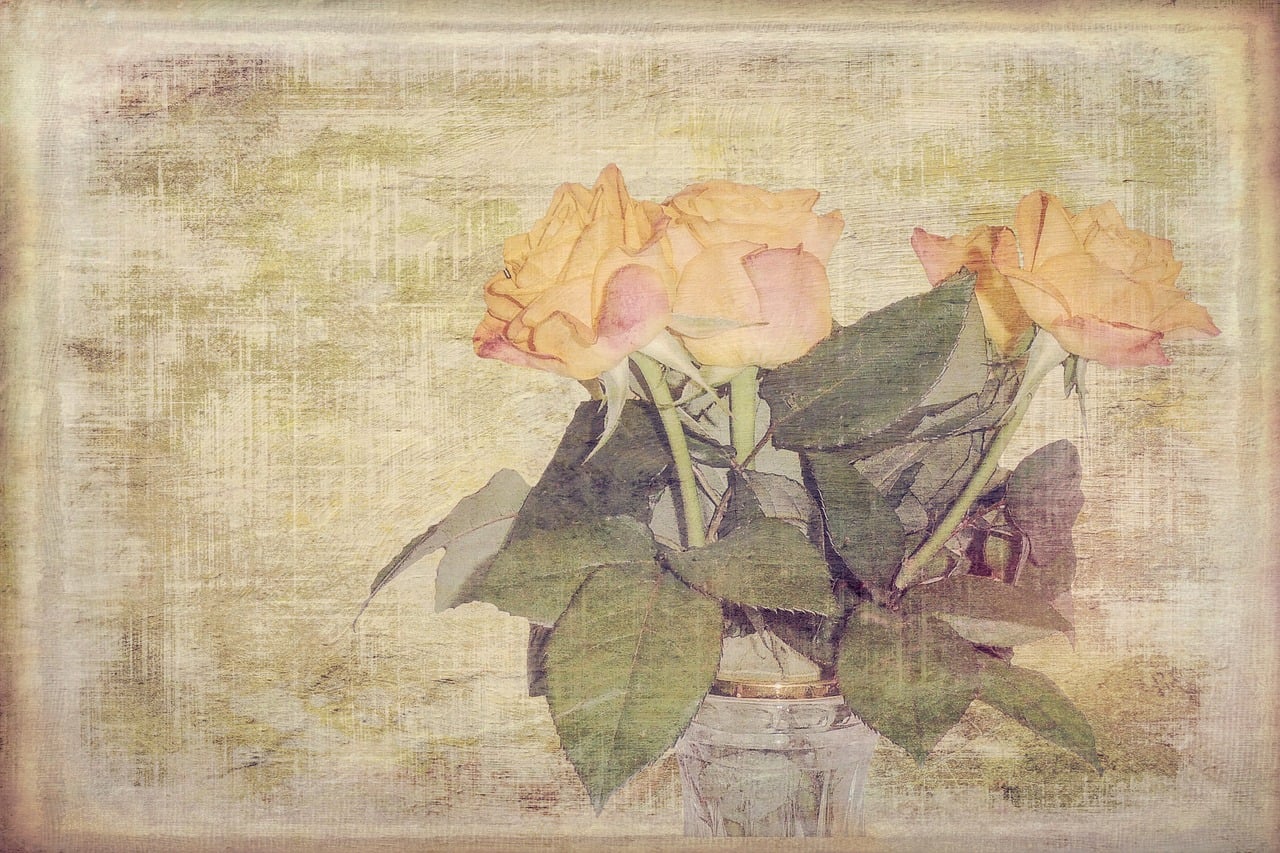 400,000+ Free Canvas Background & Canvas Images - Pixabay