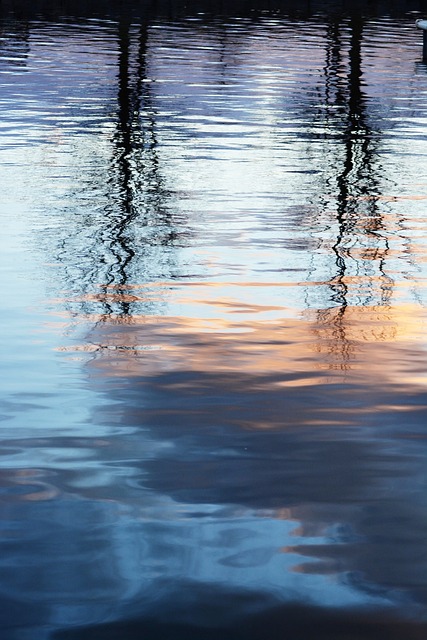 Natur Träd Vatten - Gratis foto på Pixabay - Pixabay