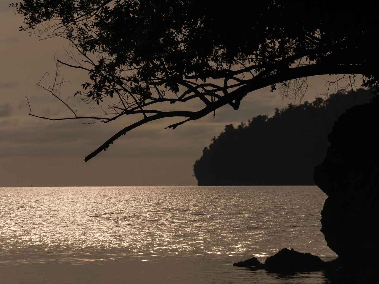 Night Sea Togean Island - Free photo on Pixabay - Pixabay