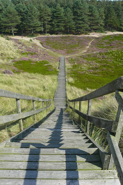 Stairs Wooden Downhill - Free photo on Pixabay - Pixabay