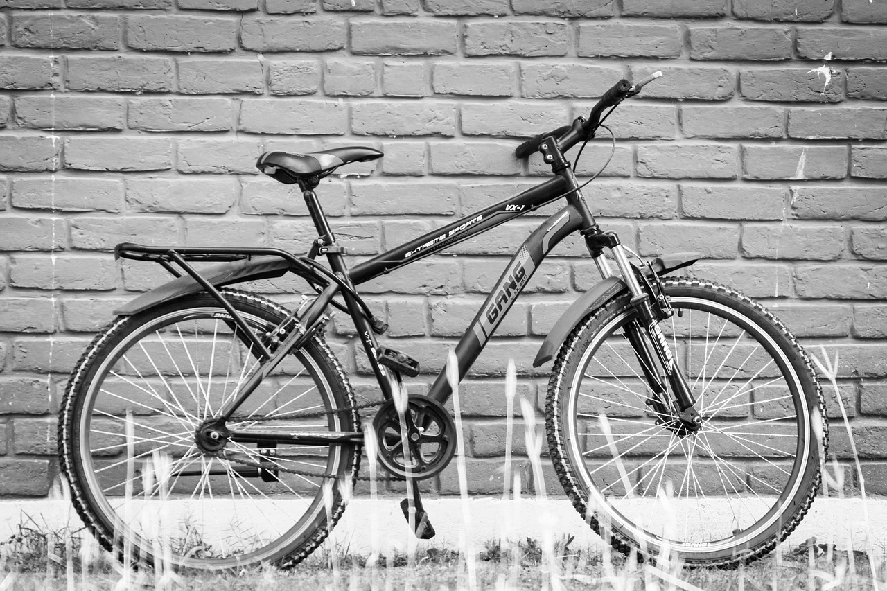 Bike Bicycle Cycle Mountain - Free photo on Pixabay