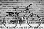 15 Pedal extremity Synonyms. Similar words for Pedal extremity.