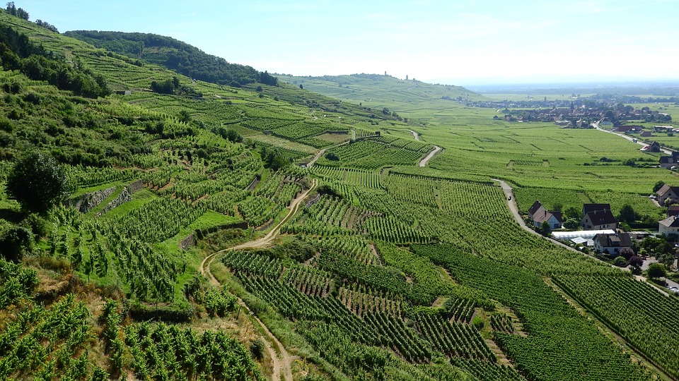 Alsace La France Vignoble - Photo gratuite sur Pixabay