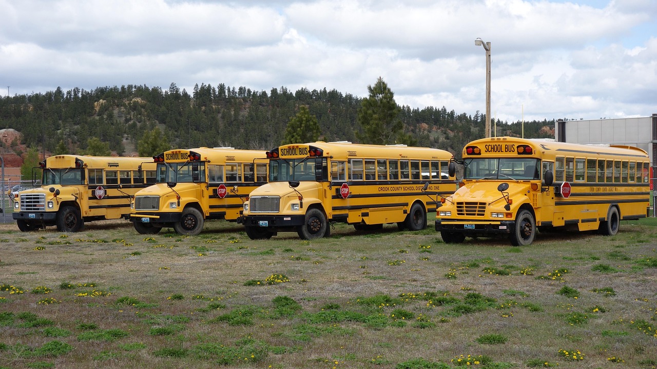 50+ Free Schoolbus & School Bus Images - Pixabay